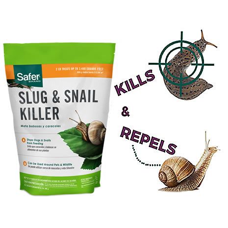 Safer® Brand Slug & Snail Killer 2 lb| SB125 | Saferbrand.com