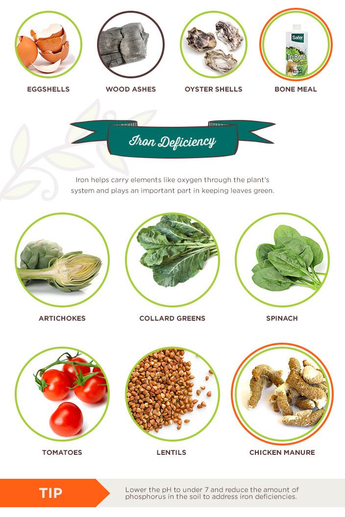 Recipes to Make Great Compost